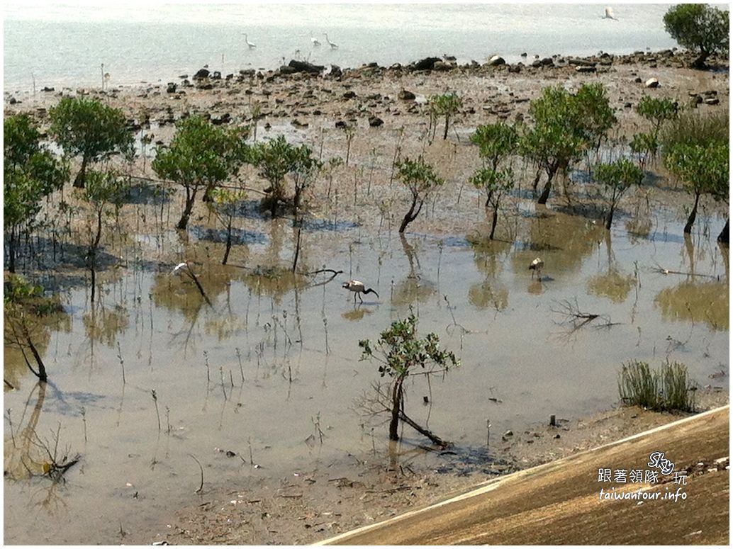 淡水景點介紹-好美的【二重環狀．金色水岸自行車道】 @跟著領隊sky玩。一日遊.美食.景點.車泊.住宿