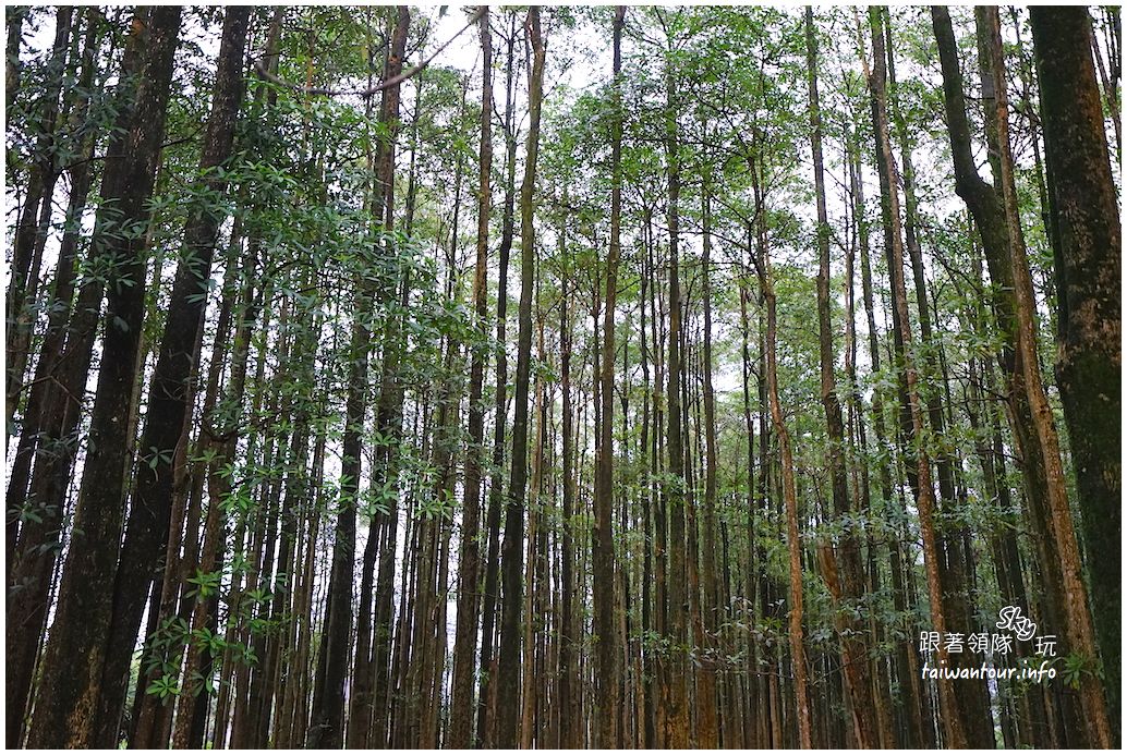 多媒體檔案(%e5%8d%97%e6%8a%95%e5%9f%94%e9%87%8c%e6%99%af%e9%bb%9e%e6%8e%a8 ...