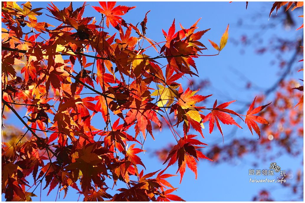 多媒體檔案(%e5%8f%b0%e4%b8%ad%e6%99%af%e9%bb%9e%e6%8e%a8%e8%96%a6%e7%a6%8f ...