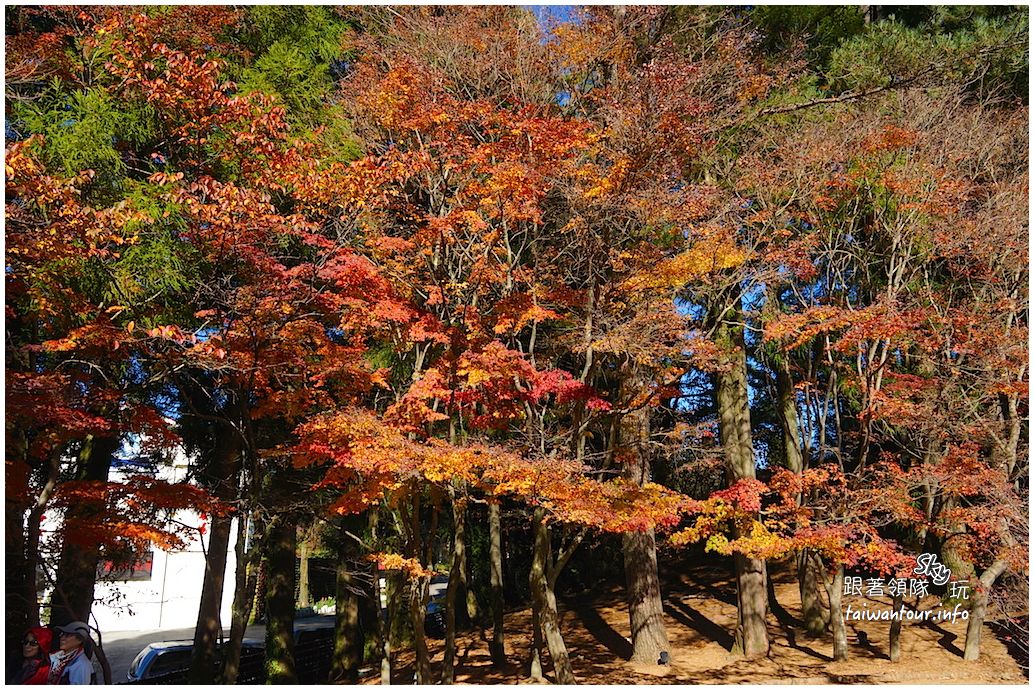 多媒體檔案(%e5%8f%b0%e4%b8%ad%e6%99%af%e9%bb%9e%e6%8e%a8%e8%96%a6%e7%a6%8f ...