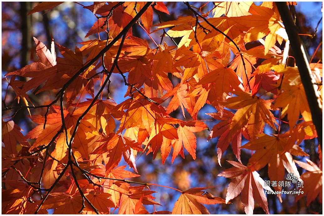 多媒體檔案(%e5%8f%b0%e4%b8%ad%e6%99%af%e9%bb%9e%e6%8e%a8%e8%96%a6%e7%a6%8f ...