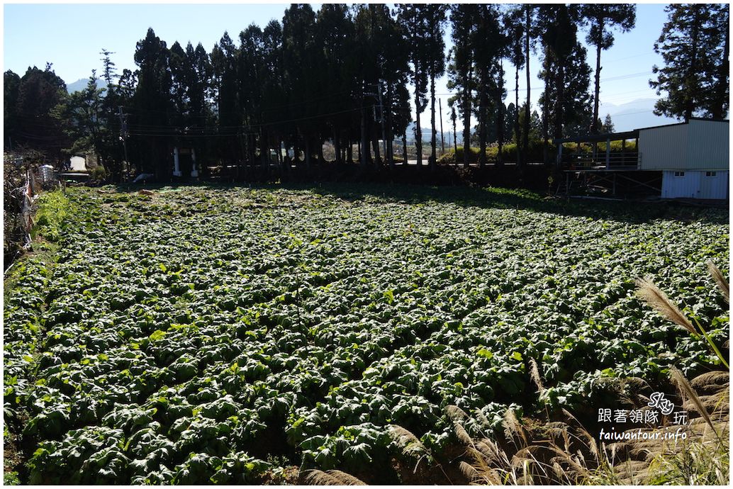 多媒體檔案(%e5%8f%b0%e4%b8%ad%e6%99%af%e9%bb%9e%e6%8e%a8%e8%96%a6%e7%a6%8f ...