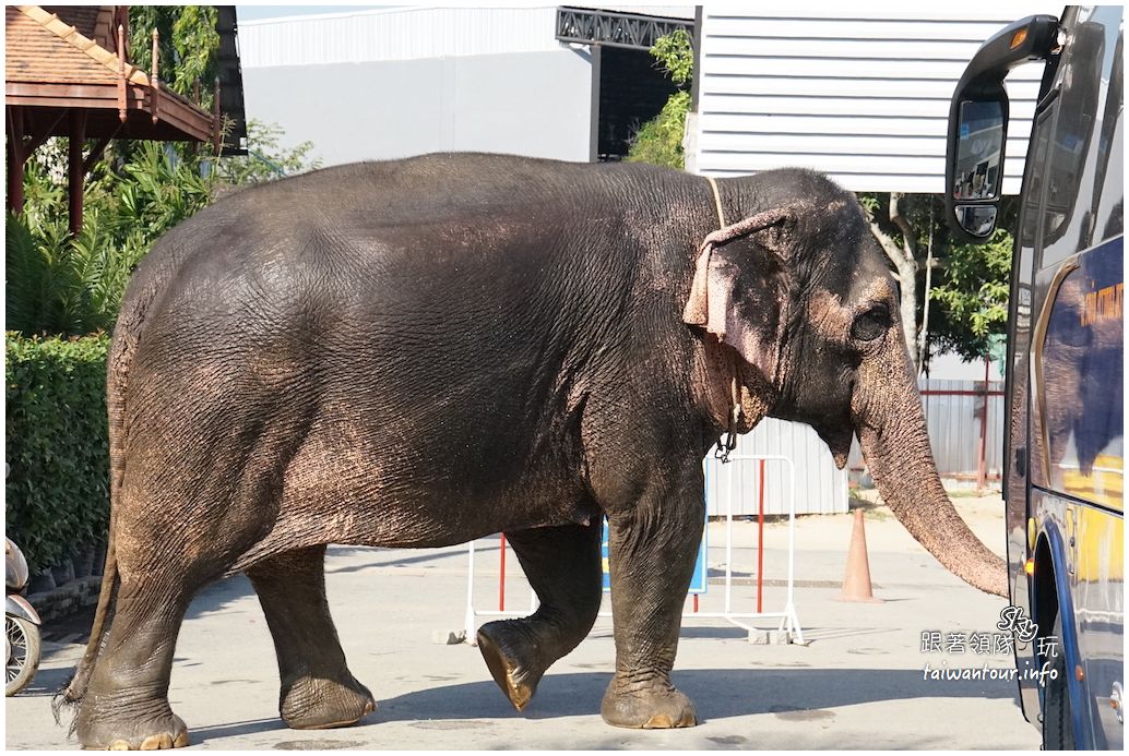 多媒體檔案(%e6%b3%b0%e5%9c%8b%e8%8a%ad%e9%81%94%e9%9b%85%e6%9d%b1%e8%8a%ad ...