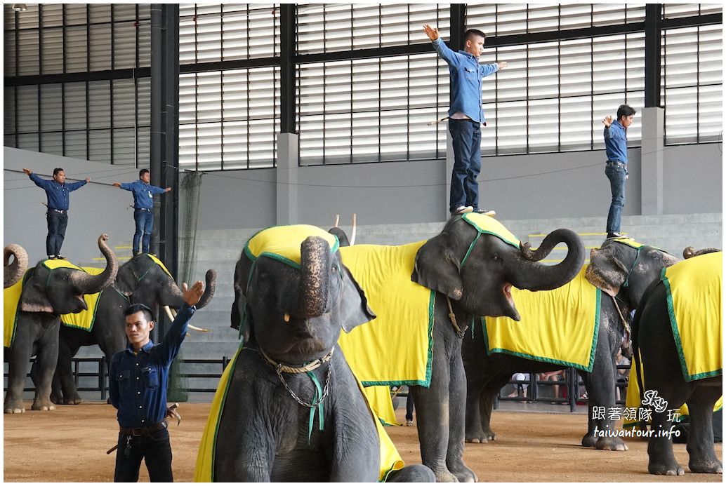 多媒體檔案(%e6%b3%b0%e5%9c%8b%e8%8a%ad%e9%81%94%e9%9b%85%e6%9d%b1%e8%8a%ad ...