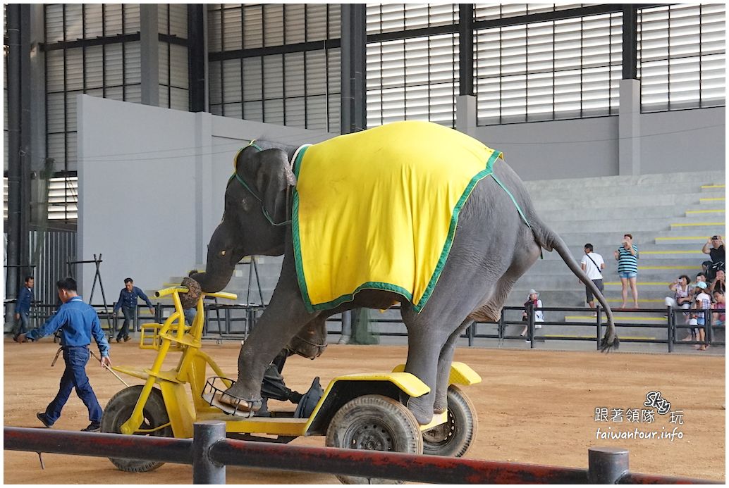 多媒體檔案(%e6%b3%b0%e5%9c%8b%e8%8a%ad%e9%81%94%e9%9b%85%e6%9d%b1%e8%8a%ad ...