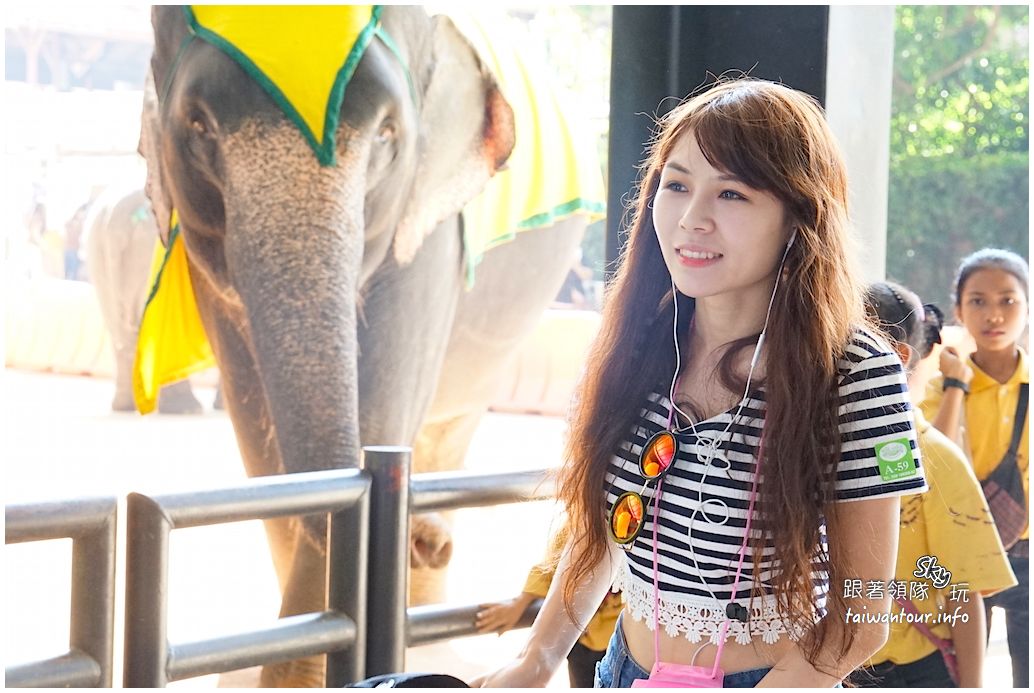 多媒體檔案(%e6%b3%b0%e5%9c%8b%e8%8a%ad%e9%81%94%e9%9b%85%e6%9d%b1%e8%8a%ad ...