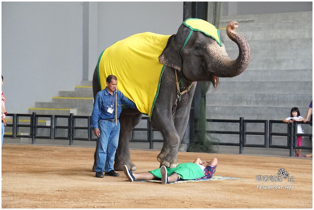 多媒體檔案(%e6%b3%b0%e5%9c%8b%e8%8a%ad%e9%81%94%e9%9b%85%e6%9d%b1%e8%8a%ad ...