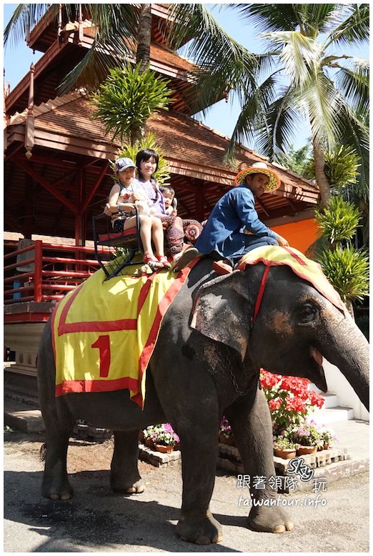 泰國景點推薦-芭達雅大象表演【東芭樂園Nong Nooch Tropical Garden】 @跟著領隊sky玩。一日遊.美食.景點.車泊.住宿