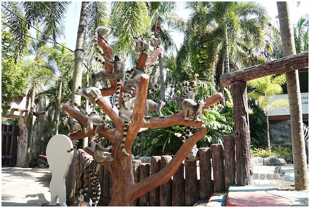 多媒體檔案(%e6%b3%b0%e5%9c%8b%e8%8a%ad%e9%81%94%e9%9b%85%e6%9d%b1%e8%8a%ad ...