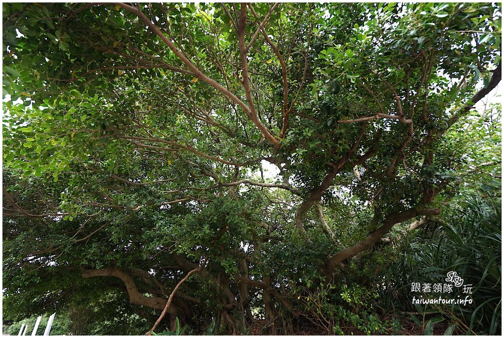 多媒體檔案(%e5%8c%97%e9%83%a8%e6%99%af%e9%bb%9e%e8%90%ac%e9%87%8c%e8%80%81 ...