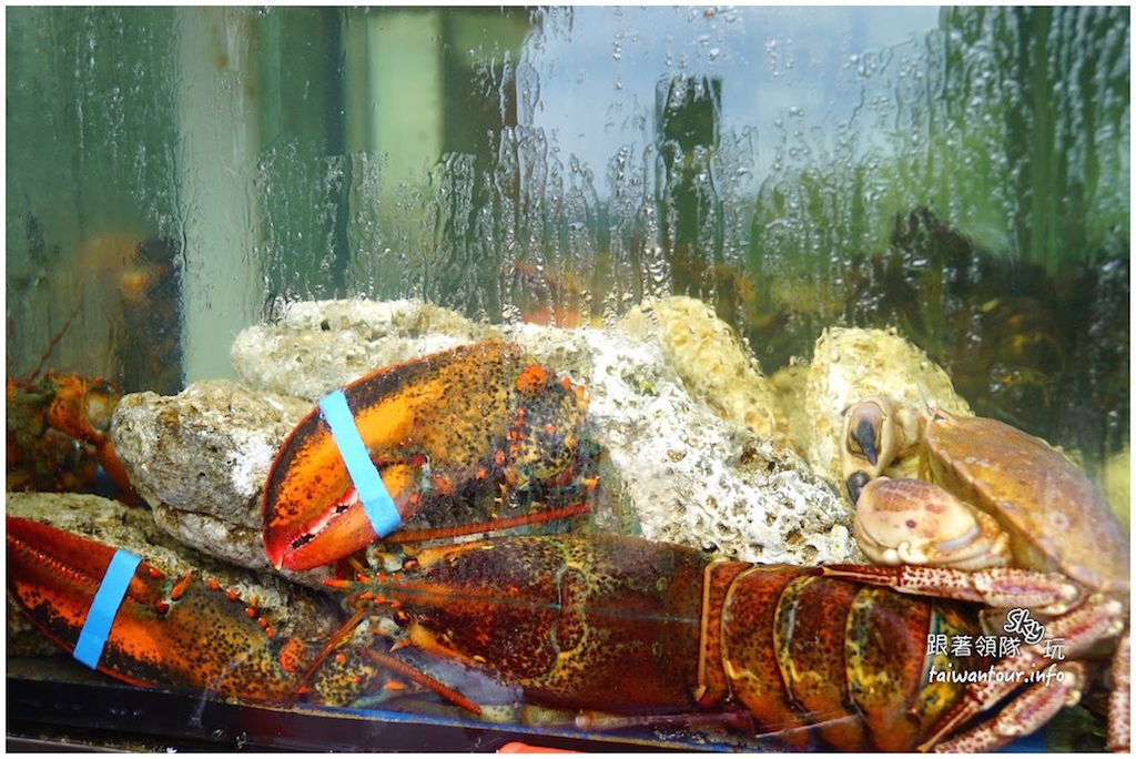 多媒體檔案(%e8%90%ac%e9%87%8c%e7%be%8e%e9%a3%9f%e6%8e%a8%e8%96%a6%e8%90%ac ...