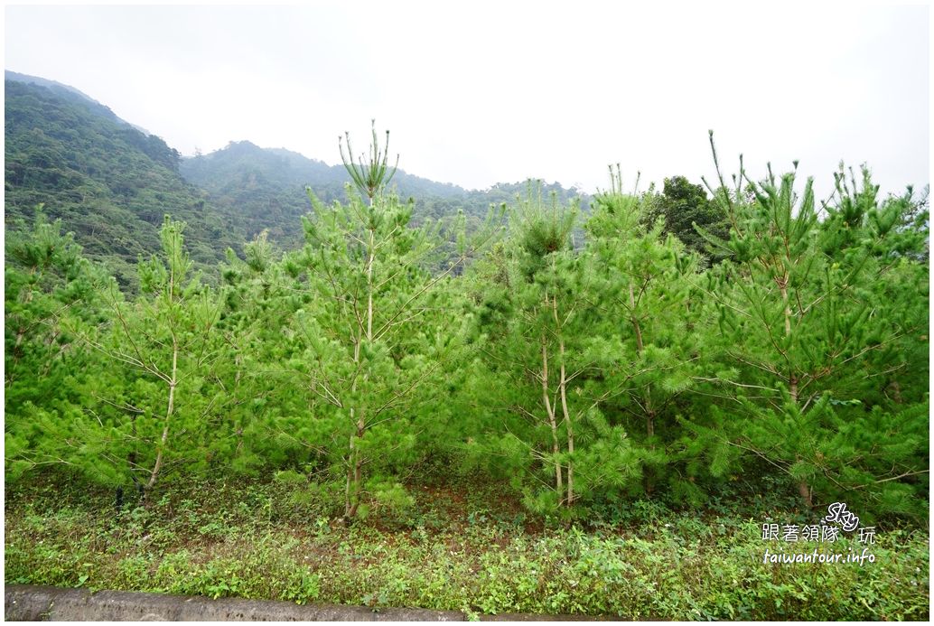 多媒體檔案(%e8%b0%b7%e9%97%9c%e6%b9%af%e9%a5%97%e4%b8%80%e6%97%a5%e9%81 ...