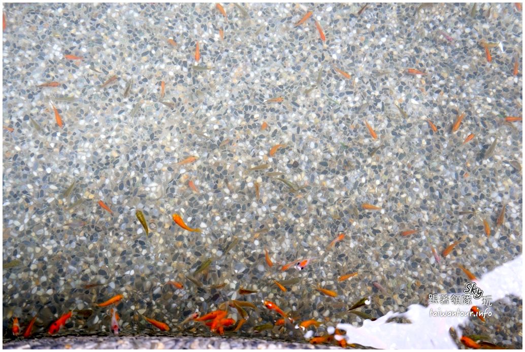 多媒體檔案(%e8%b0%b7%e9%97%9c%e6%b9%af%e9%a5%97%e4%b8%80%e6%97%a5%e9%81 ...