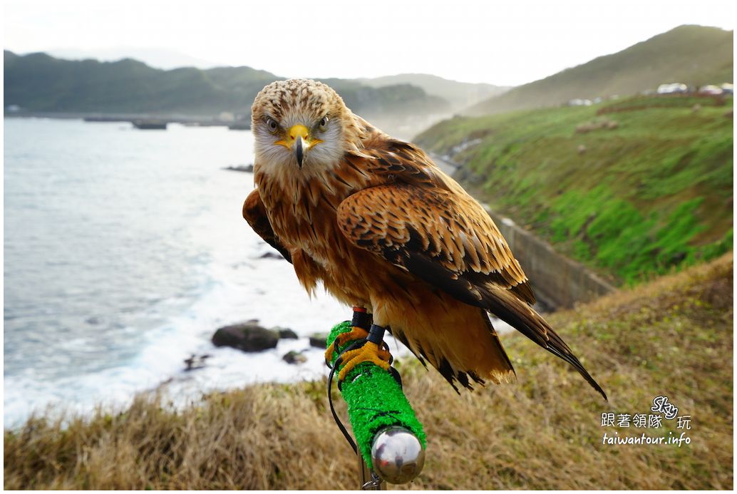 多媒體檔案(%e5%9f%ba%e9%9a%86%e6%99%af%e9%bb%9e%e6%8e%a8%e6%bd%ae%e5%a2%83 ...